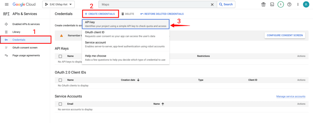 How to Generate and Use a Google Maps API Key in 2025